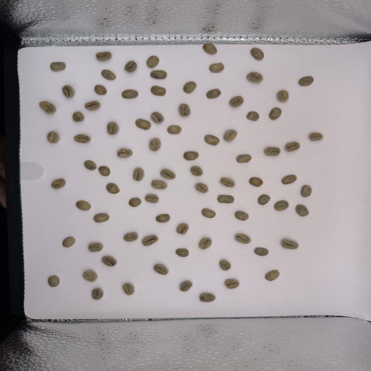 beans_2 Object Detection Dataset by fermat13