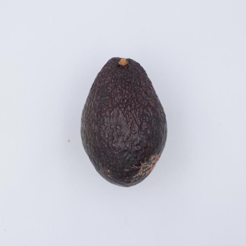 Avocado Ripeness Prediction Object Detection Dataset by Avocado Ripeness Prediction Using Images