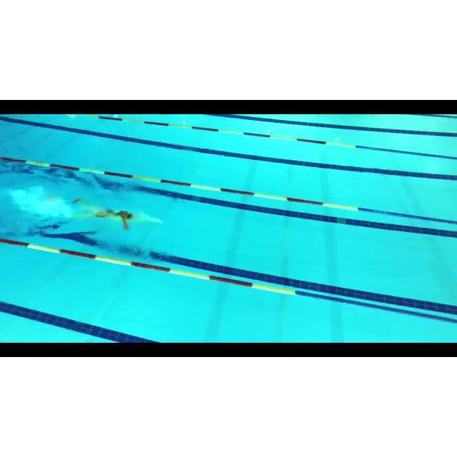 swimming Object Detection Model by lalaland
