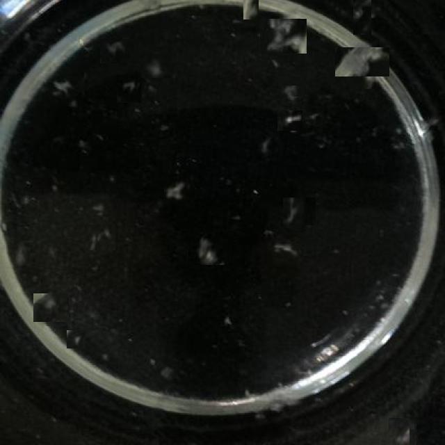 Microplastics Object Detection Dataset by KKK