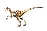 image-10-classification-Dinosaurs Classification Model by Dinosaursclass