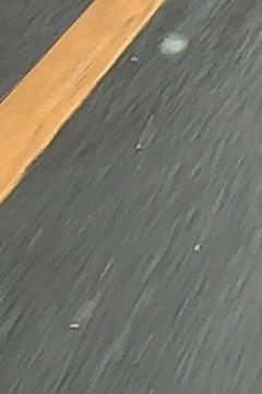 Image Classification (image-classification-g3lwg) - Roboflow Universe