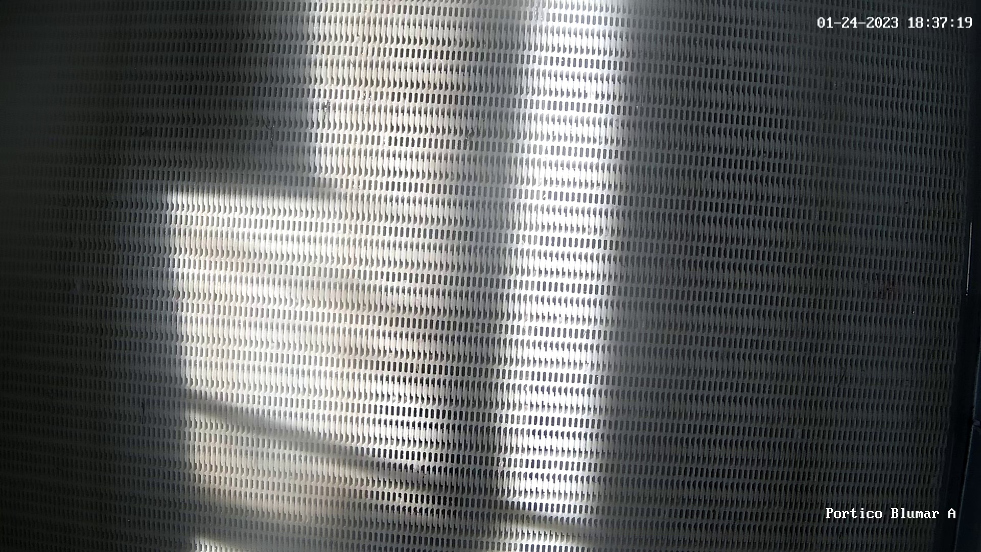 blumar_mods Instance Segmentation Dataset by MiniSpace