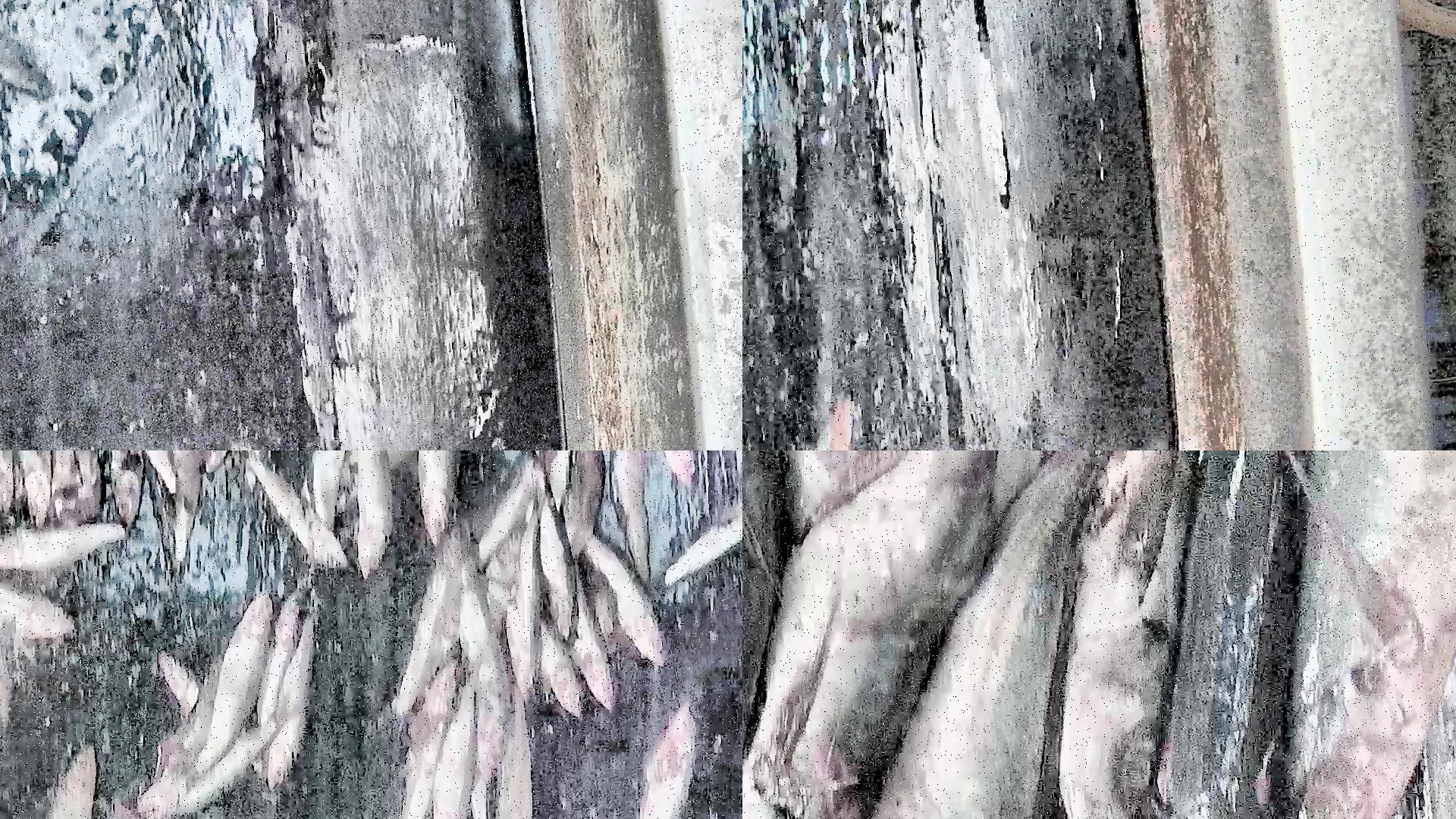 orizon_train Instance Segmentation Dataset by MiniSpace