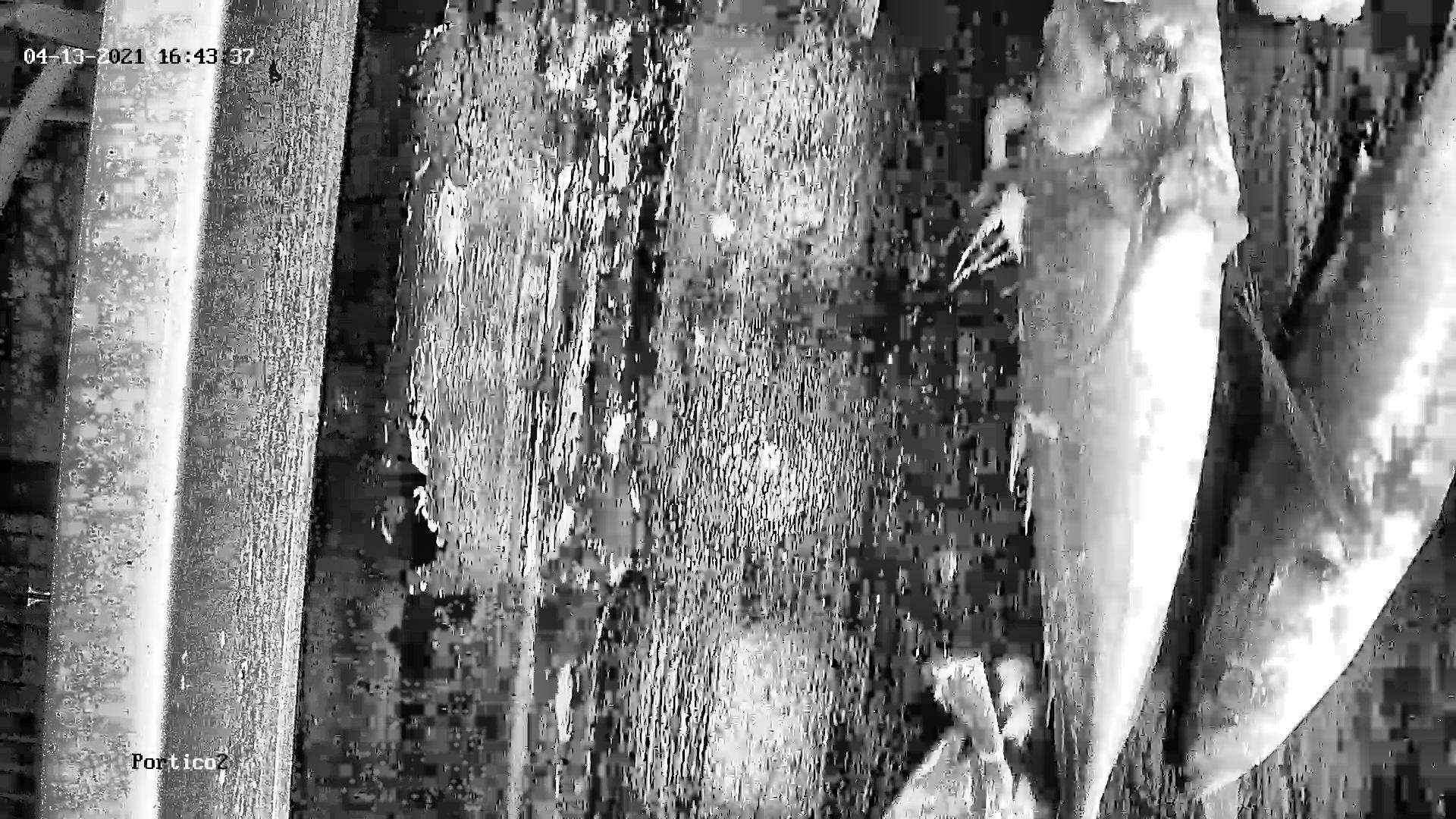 orizon_val Instance Segmentation Dataset by MiniSpace