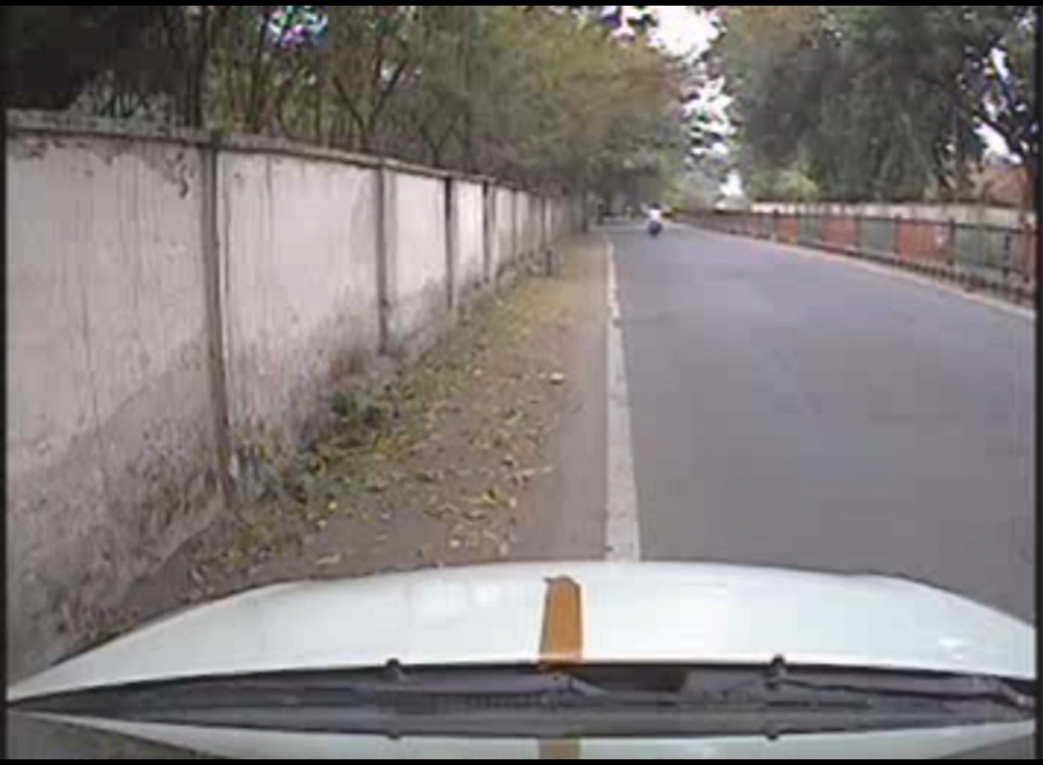 Gaze Classification Roboflow Universe