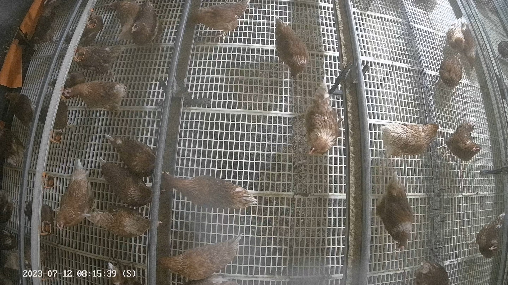 Count Instance Segmentation Dataset and Pre-Trained Model by Seg and Count