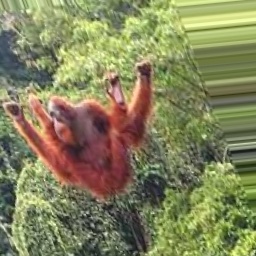 yolov6objectdetection Object Detection Dataset by monkey