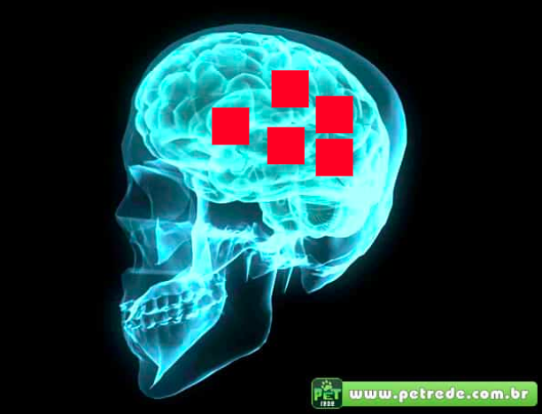 Skin Disease Finder Object Detection Dataset and Pre-Trained Model by ...