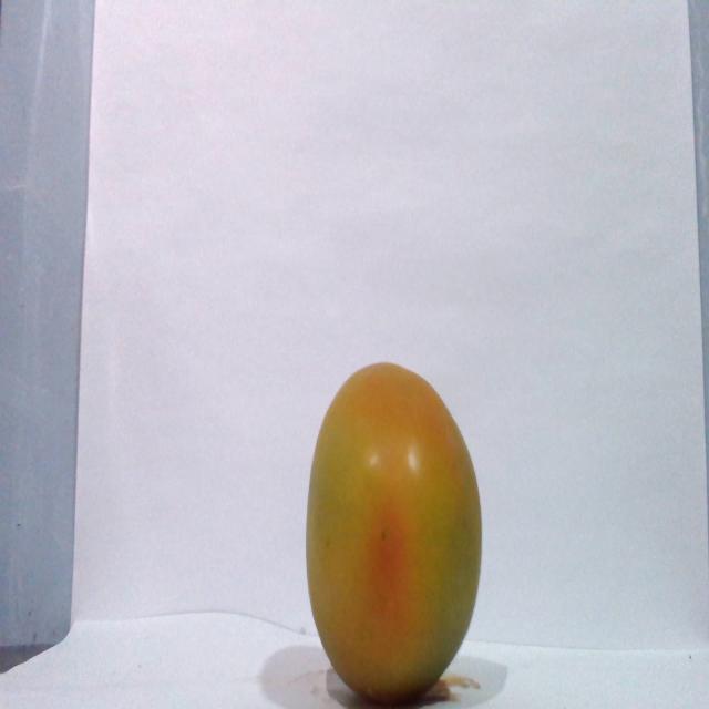 Tomato_classification Classification Dataset and Pre-Trained Model by TomatoSorter2025