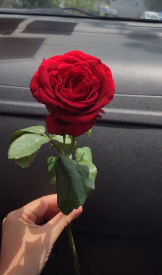 Phonsuda - Roboflow Universe