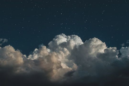 goat data Keypoint Detection Dataset by college