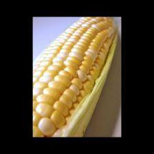 corn Object Detection Model by dong guo