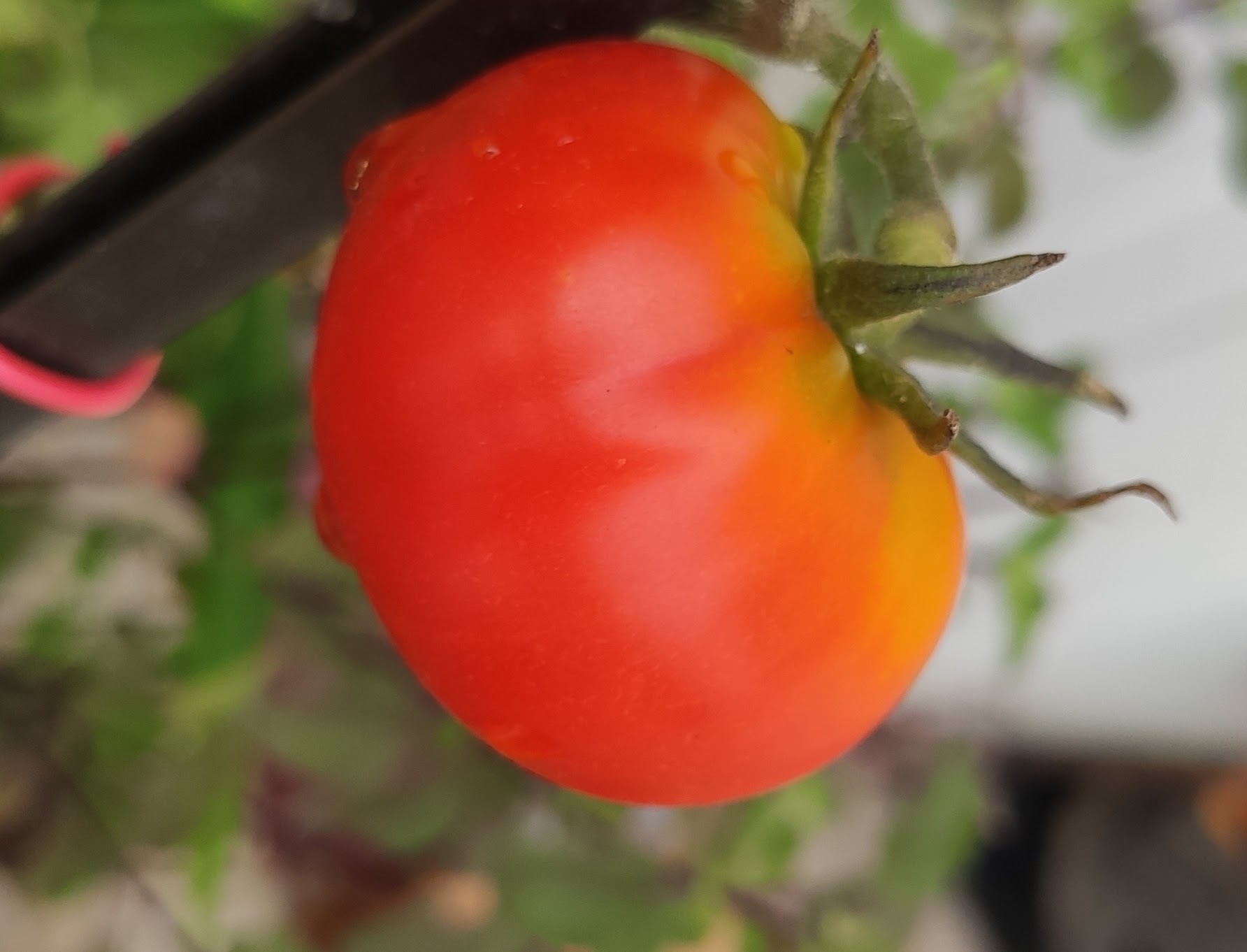 new-workspace-oottc - Roboflow Universe