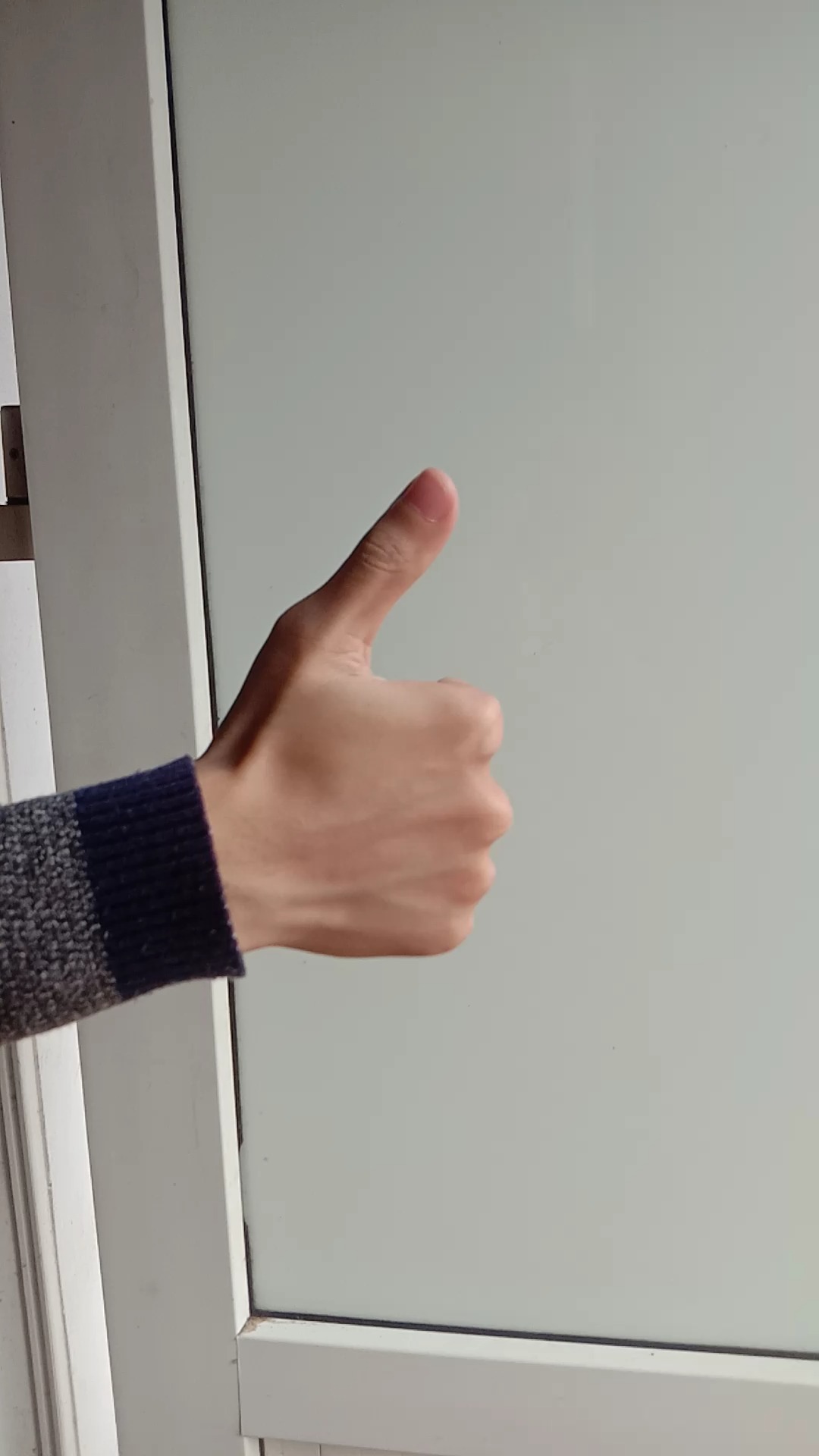 Hand1 Object Detection Model by anhbui