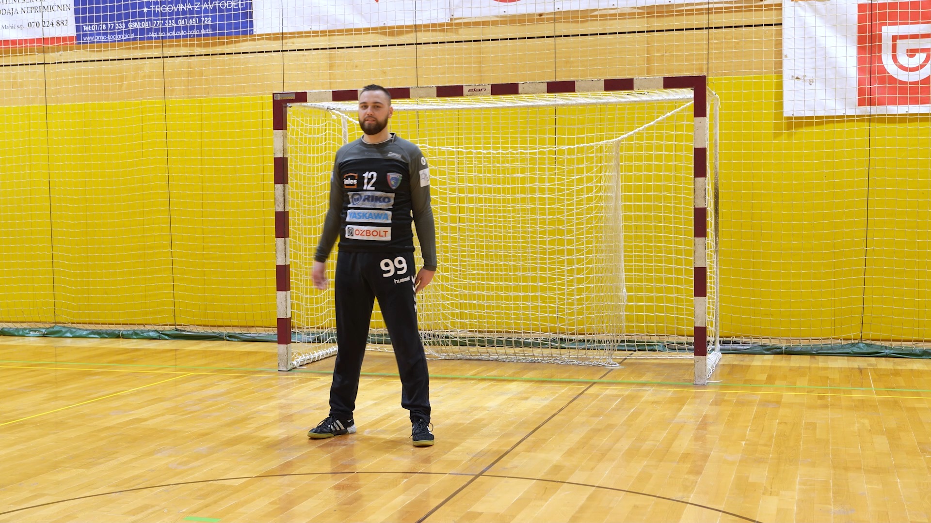 ball Object Detection Dataset and Pre-Trained Model by Workspace1