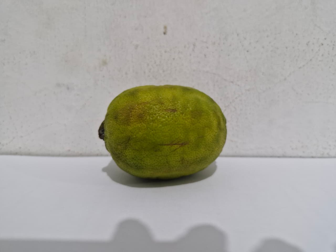 Dataset Buah Lemon - Roboflow Universe