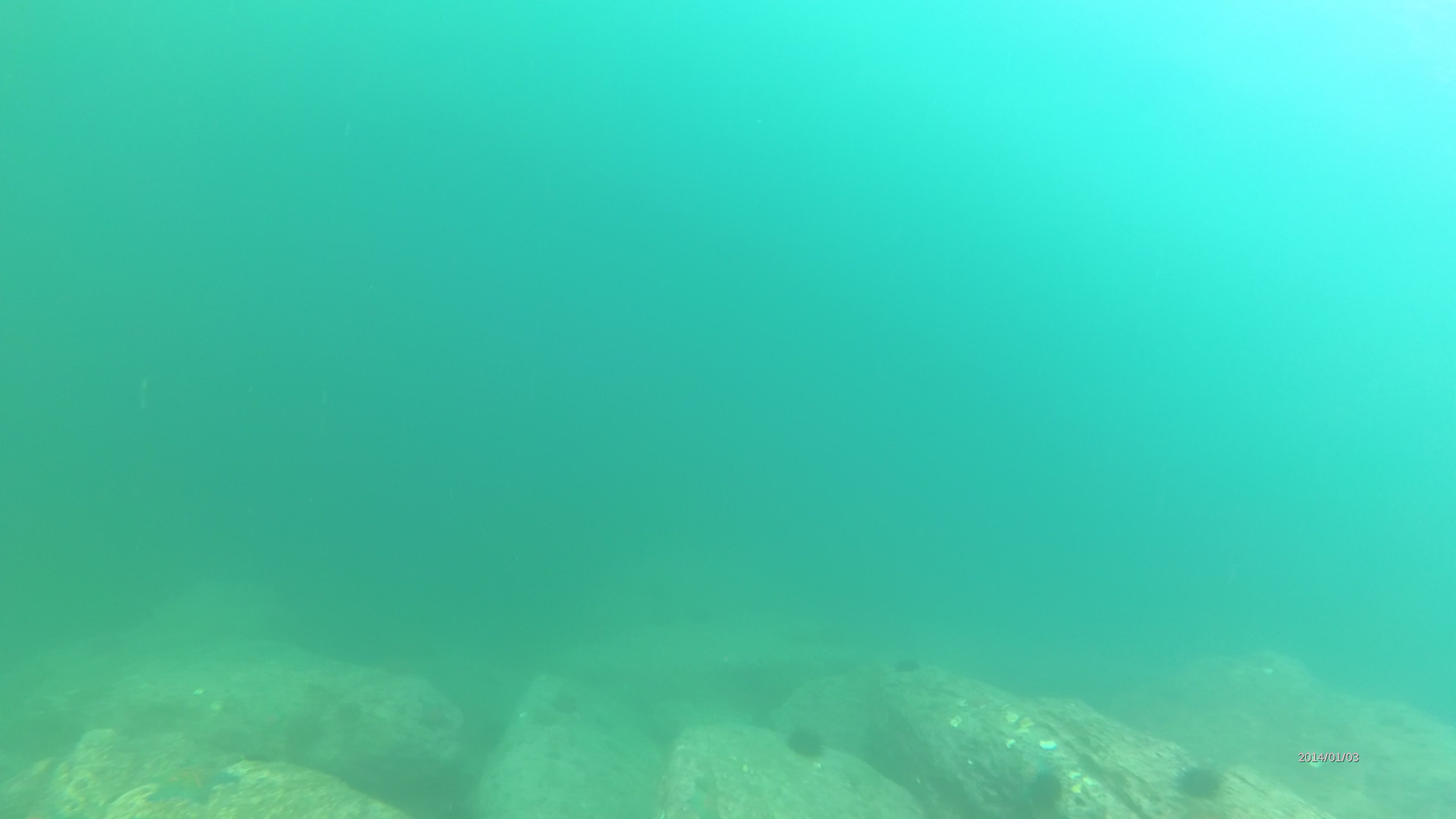 asdfaf Object Detection Dataset by 1551