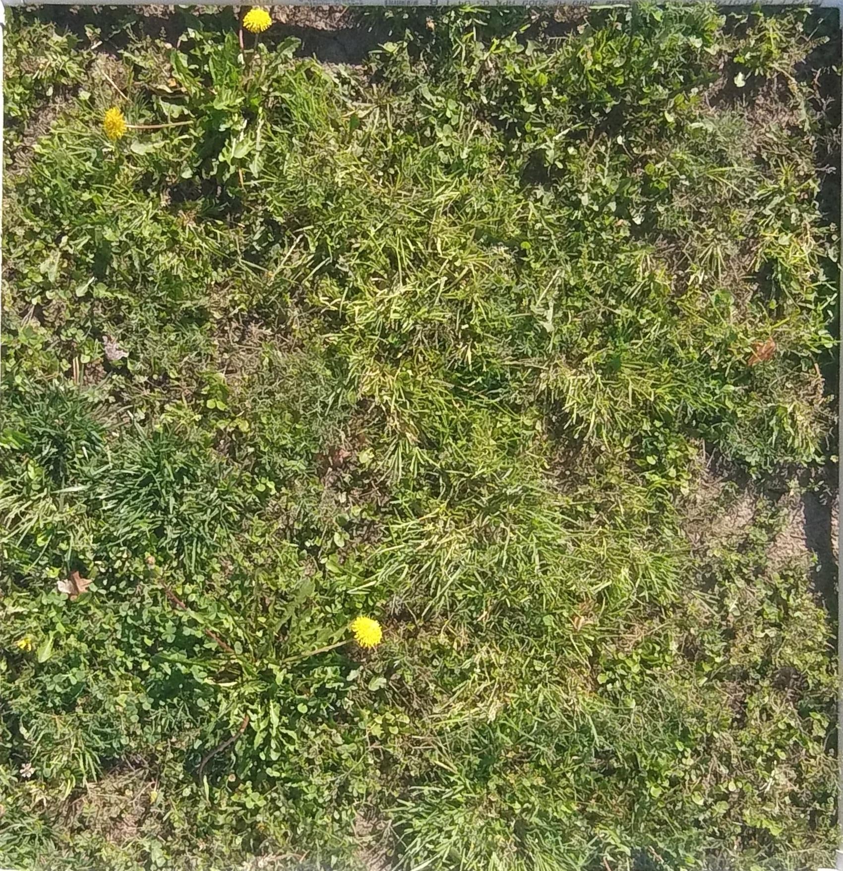 SAC Lab - Roboflow Universe