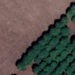 How to Use the TREE DETECTION_v1 Object Detection API