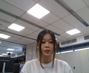 EE4208 Object Detection Model by Nanyang Technological University