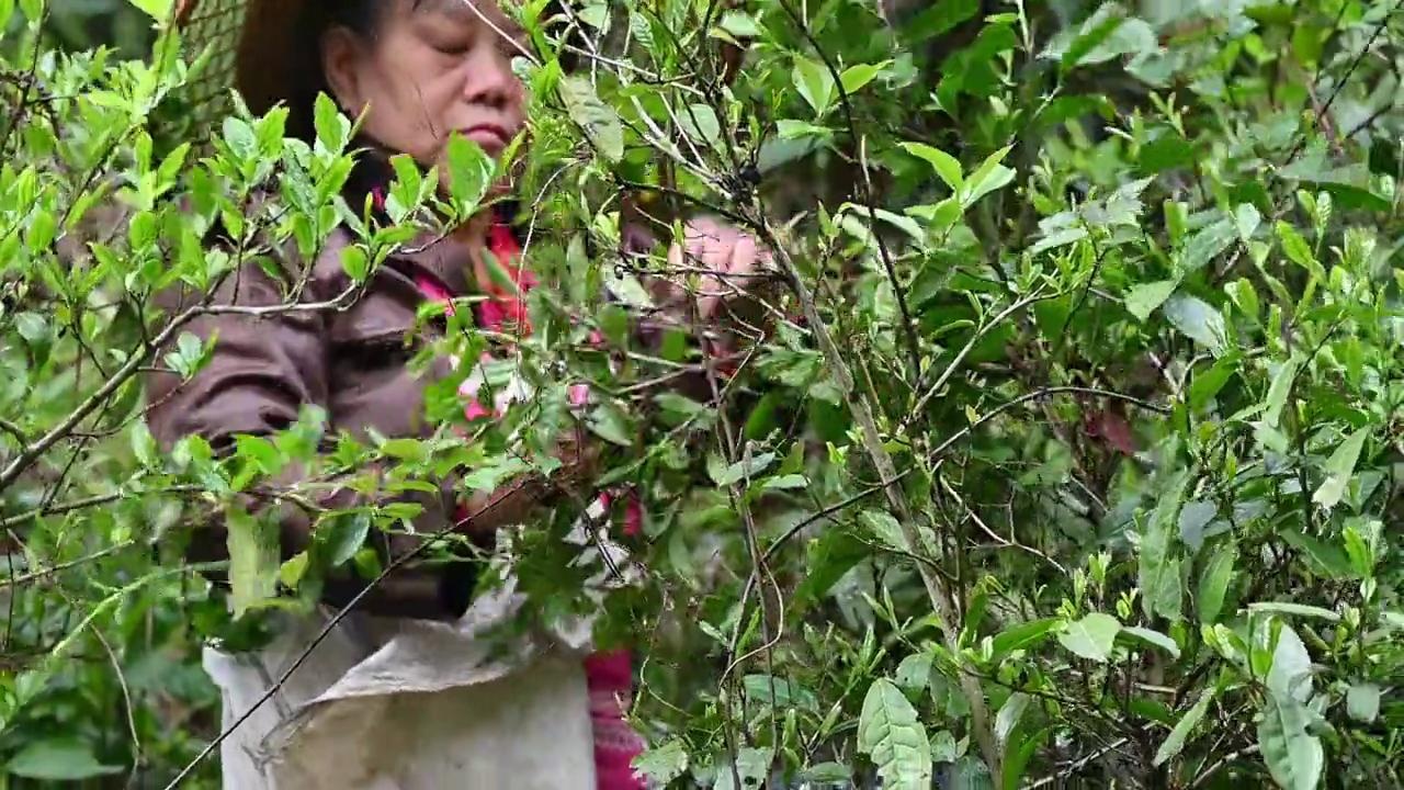 111 Object Detection Dataset by danile ye