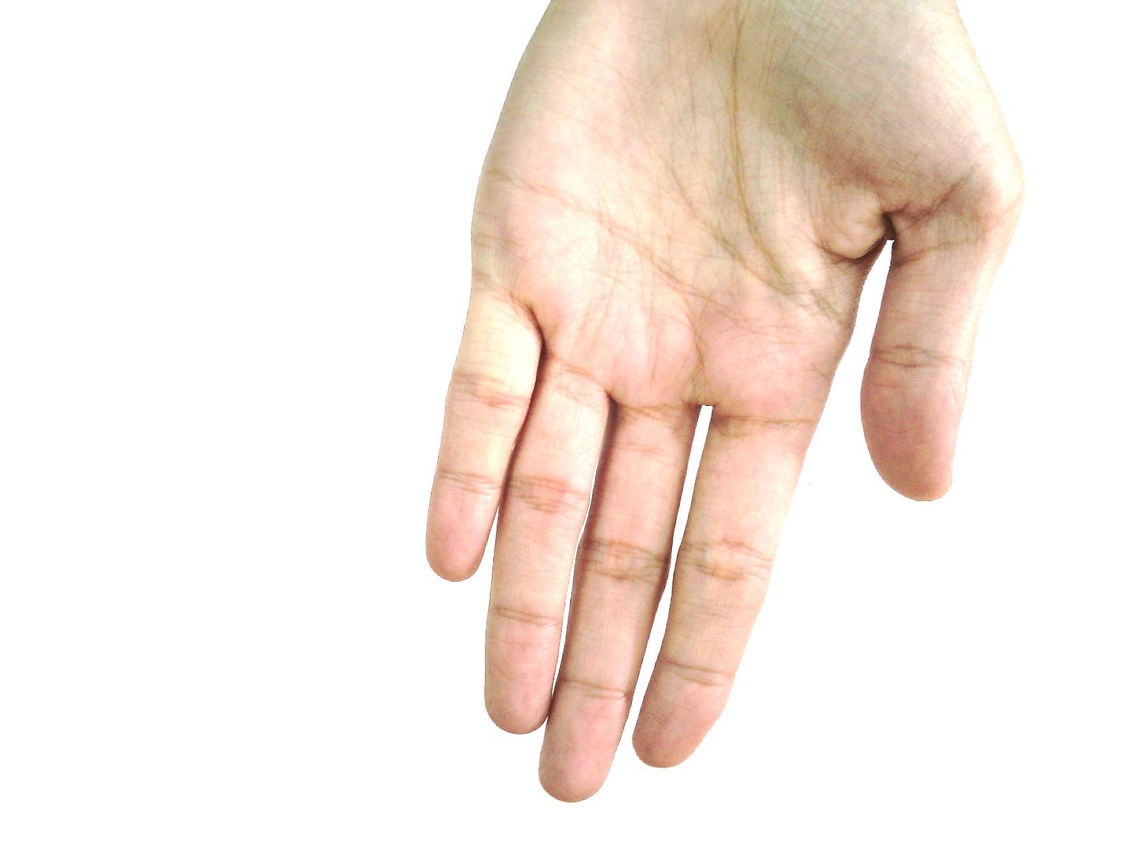 Hand_Detection Instance Segmentation Dataset by Arqam