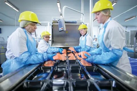 hairnet and mask detection Object Detection Model by pawan shejwal