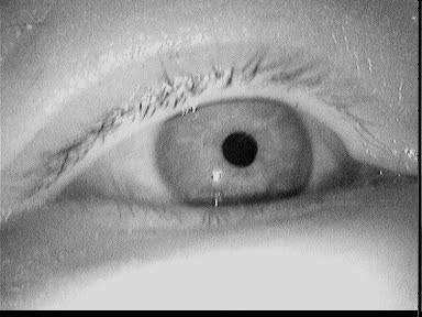 EYE_SEG Instance Segmentation Dataset and Pre-Trained Model by eyeseg