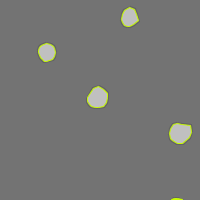 tree (tree-kvutd) - Roboflow Universe