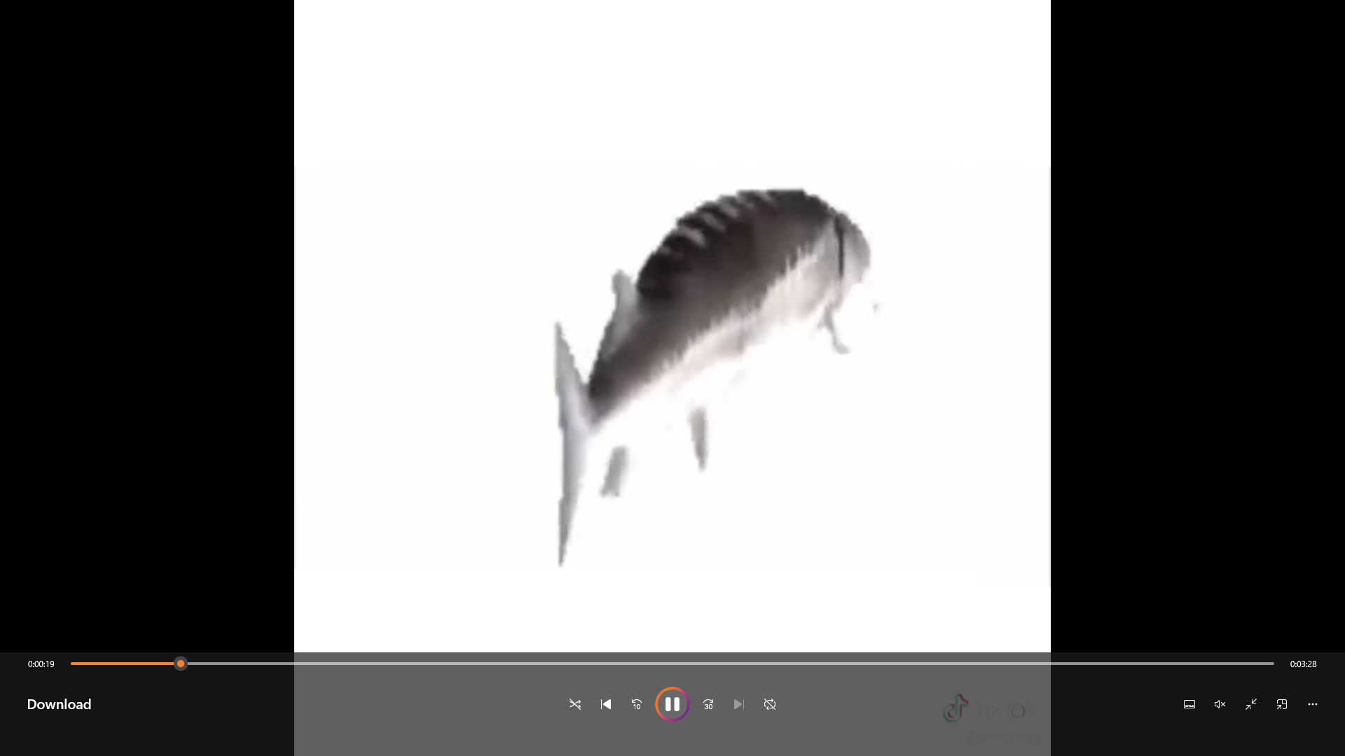 rat Object Detection Dataset by Arapaka