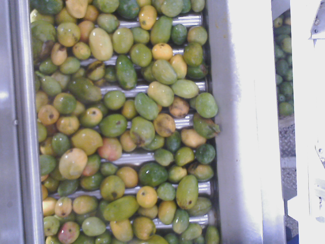 Augm 1 Img Object Detection Dataset By Samah