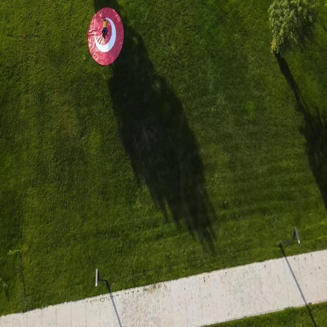 56 Object Detection Dataset by test