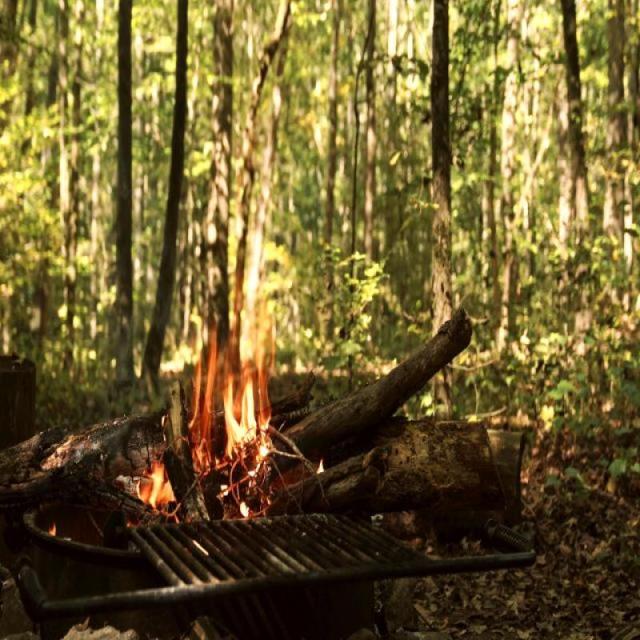 fire Object Detection Dataset by Fire1