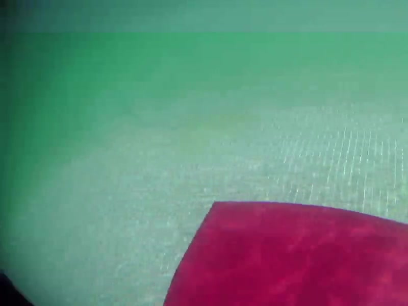 Red Circle 1 Object Detection Dataset and Pre-Trained Model by test