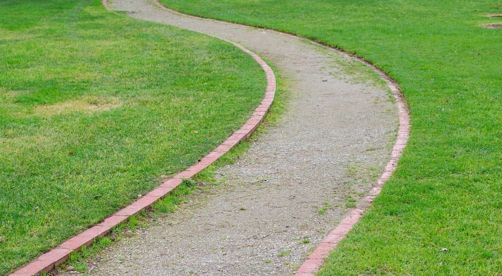 segmentation Instance Segmentation Dataset by Machine learning