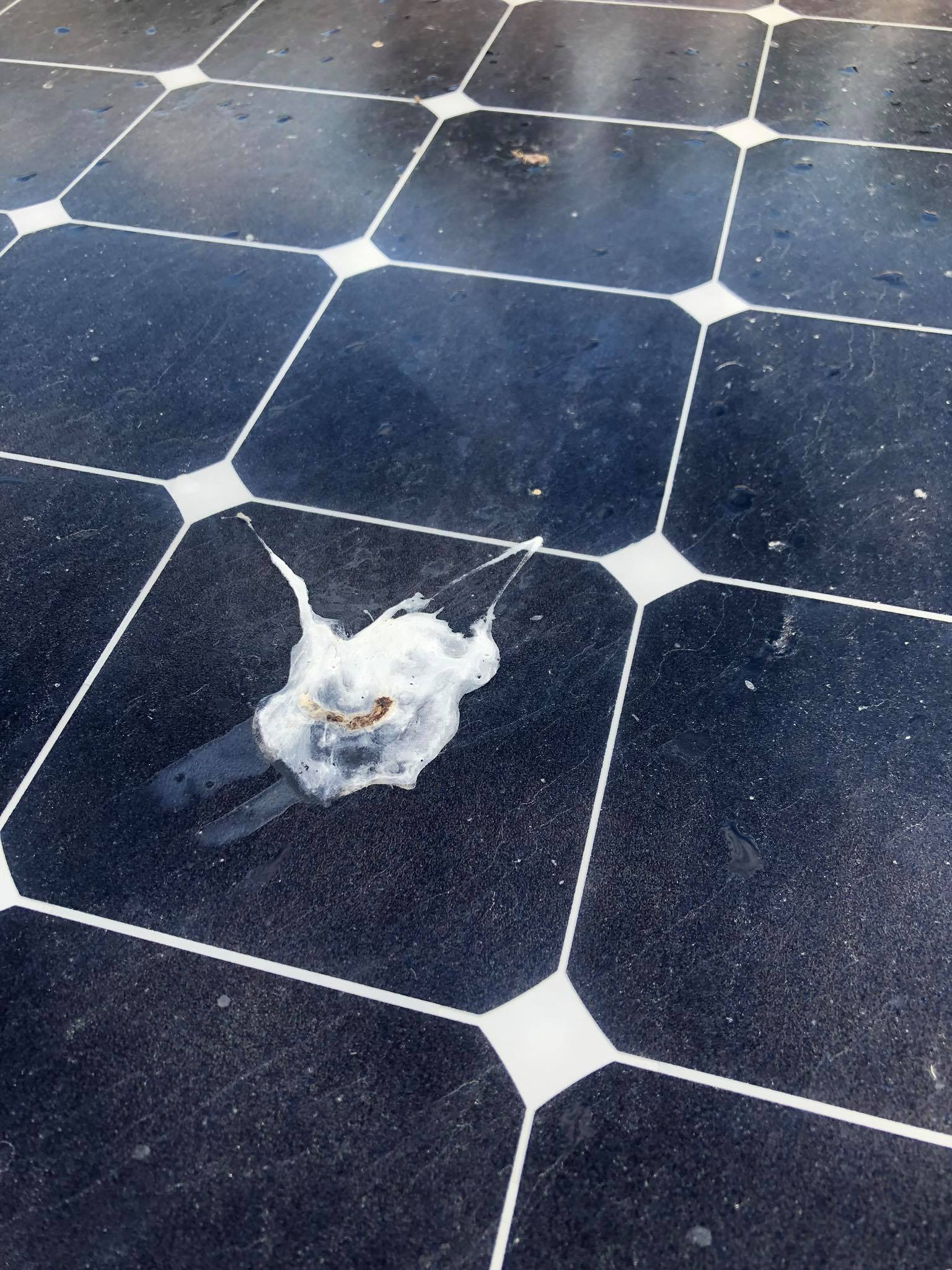 Soiling Detection Object Detection Dataset and Pre-Trained Model by Ammar Jabar