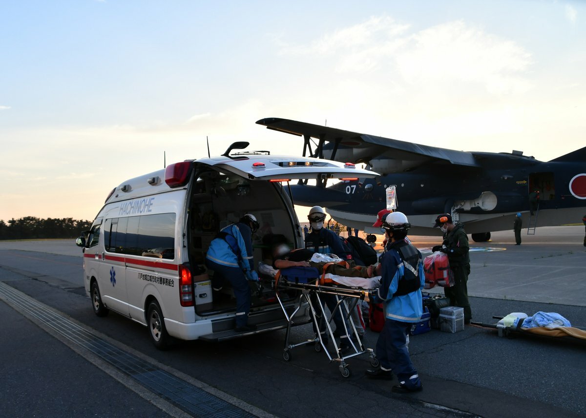 coco (coco-subyt) - Roboflow Universe