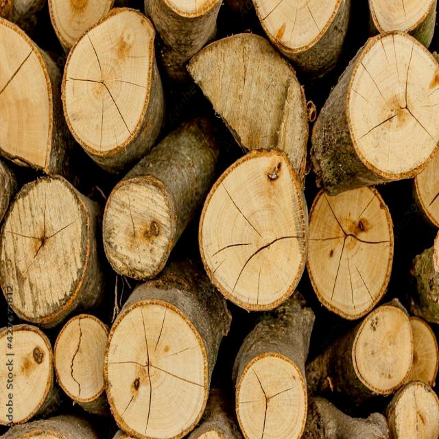 How to Use the Woodlogs Classification Object Detection API