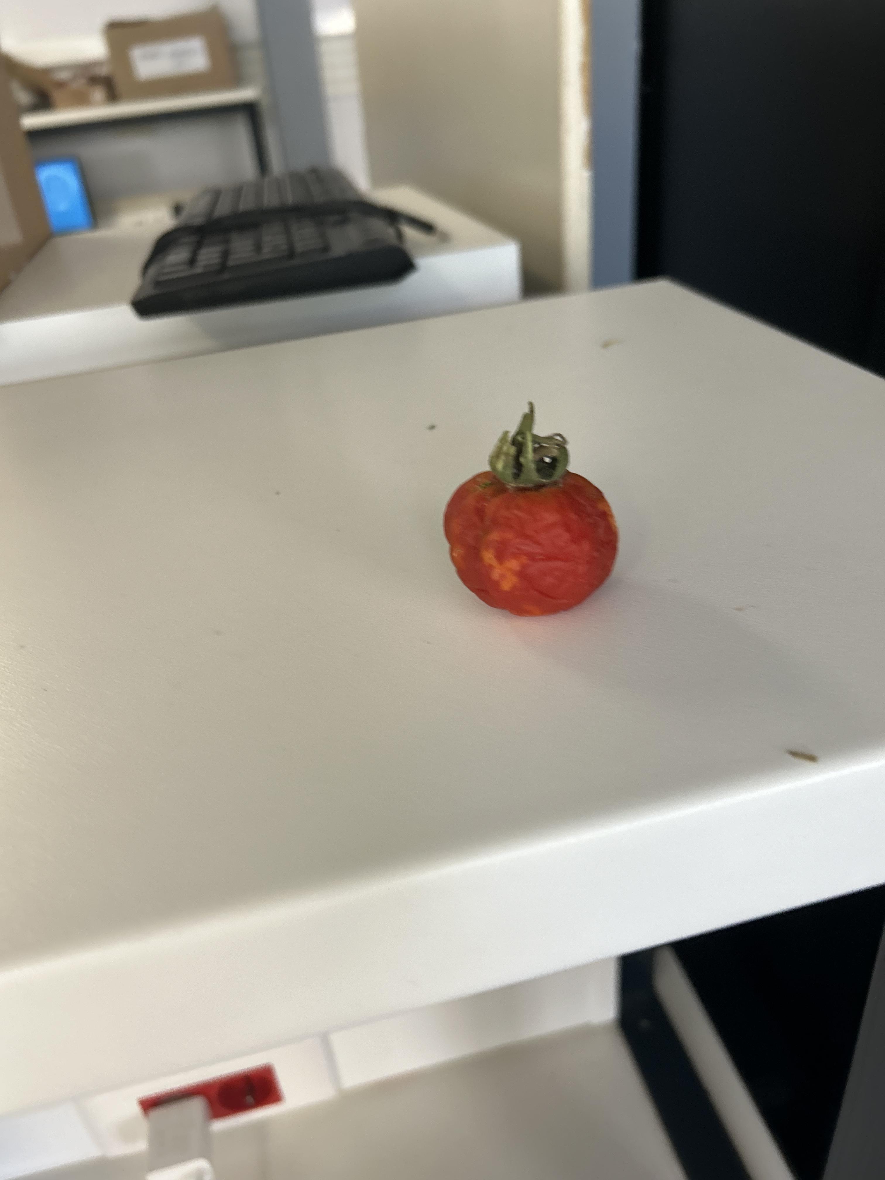 How to Use the good and bad tomatoes Object Detection API