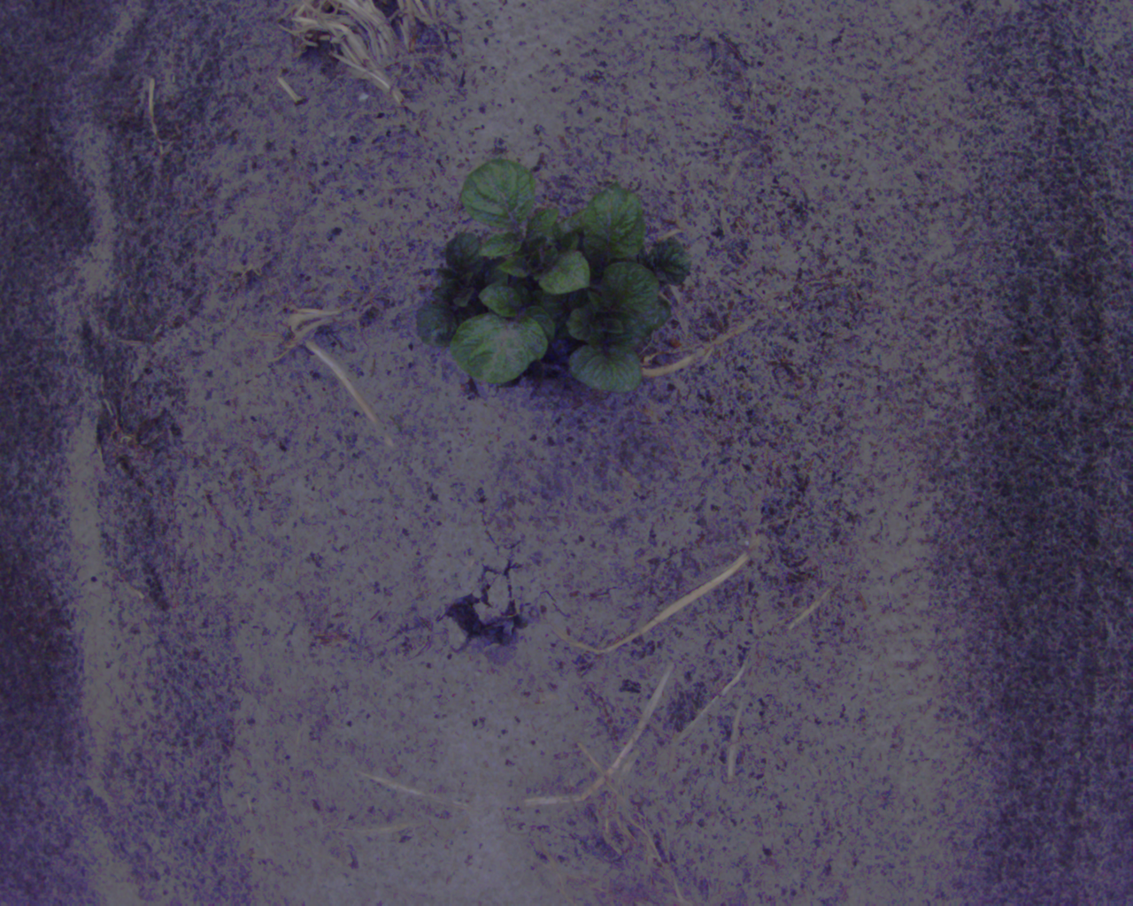 Msc Thesis Object Detection Dataset By Mscthesis