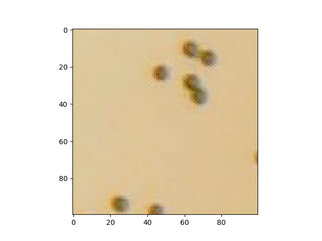 Particle Detection Object Detection Dataset By Muhammed