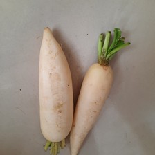 radish_indetify Object Detection Model by radish