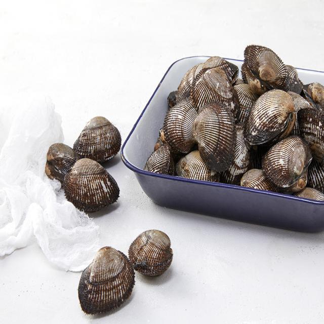 Shell-Detect Object Detection Dataset and Pre-Trained Model by ShellDetection