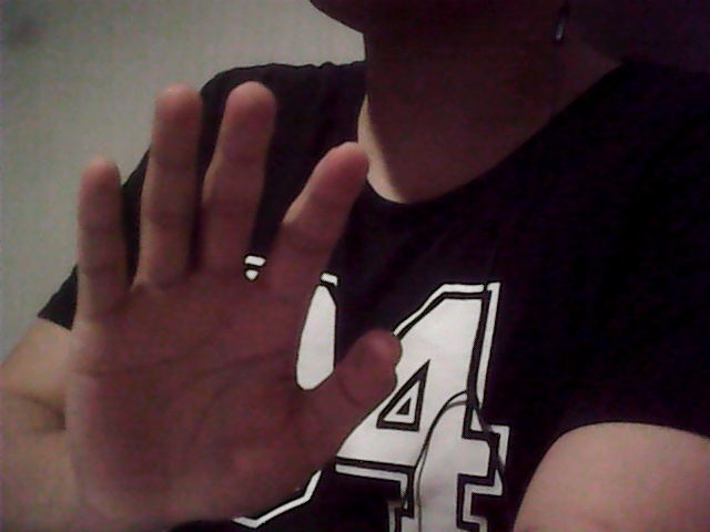 hand posture Keypoint Detection Dataset by Personal trainner