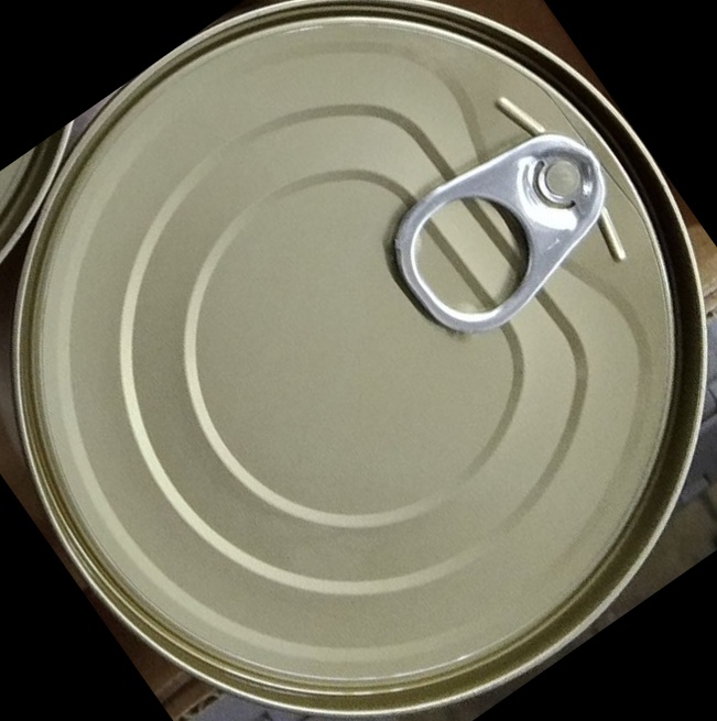 Check CAN Object Detection Dataset and Pre-Trained Model by Conveyor Project MtE