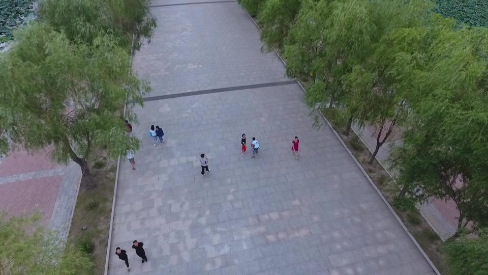 aerial_human_detection Object Detection Dataset and Pre-Trained Model ...