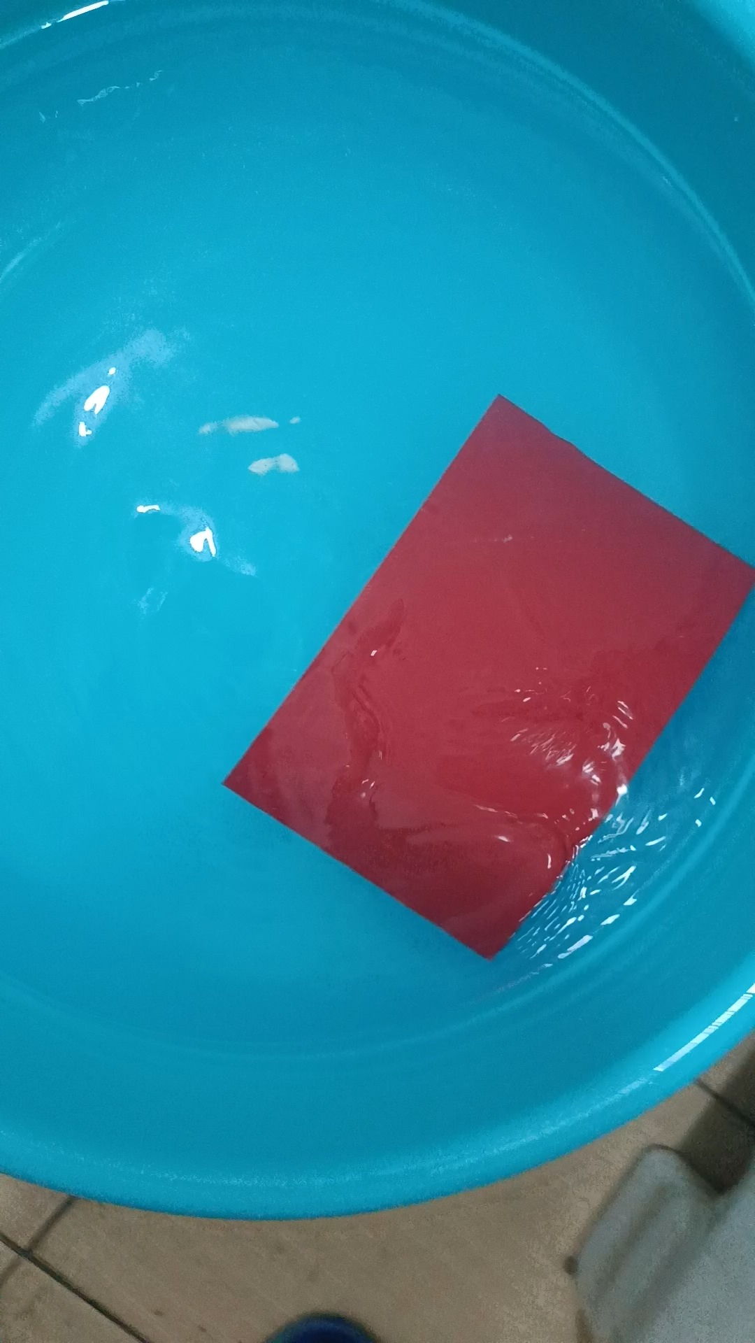 Red Boxes Object Detection Dataset And Pre Trained Model By Rov Red Box Detection