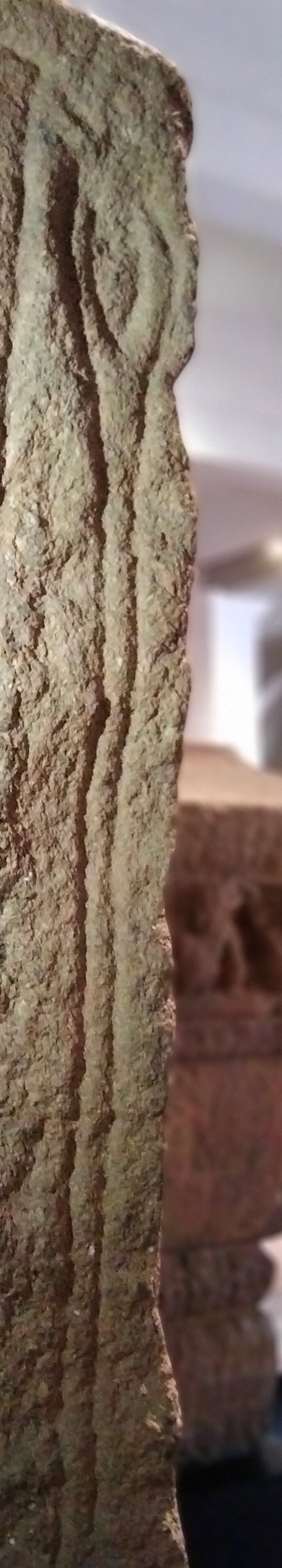 How to Use the Pictorial Symbol Identify Object Detection API