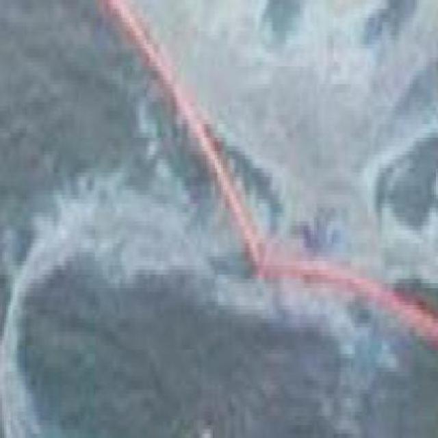 123 Object Detection Model By Kriti